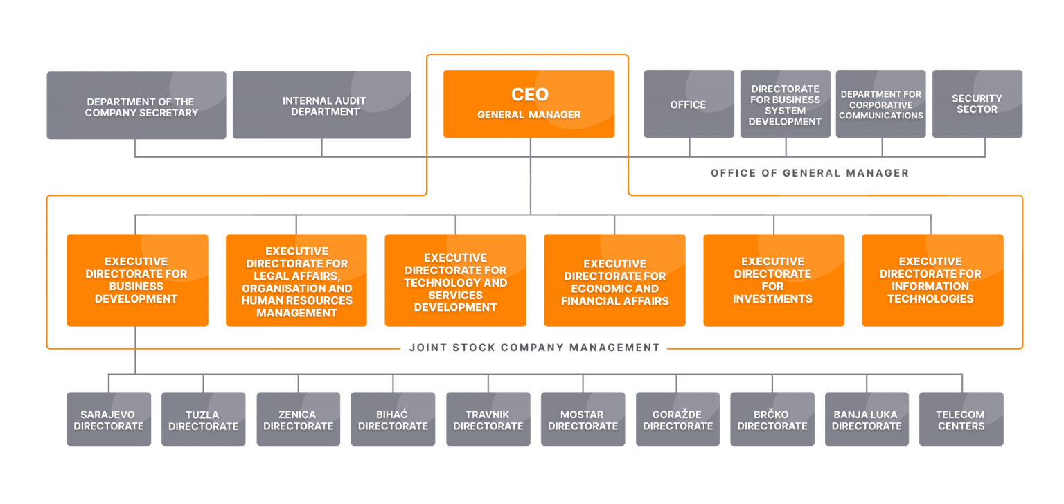 Management and Organisation - BH Telecom d.d. Sarajevo